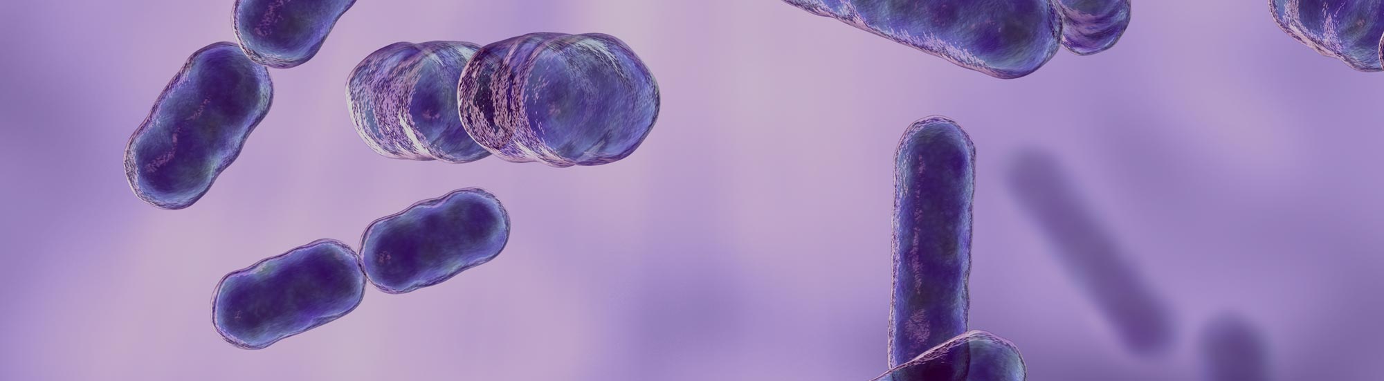 Cancer and The Microbiome - Microbiome Alliance for Disease Prevention