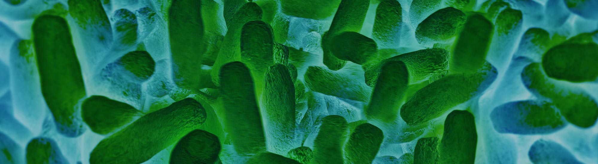 The Microbiome Powerhouse - Microbiome Alliance for Disease Prevention