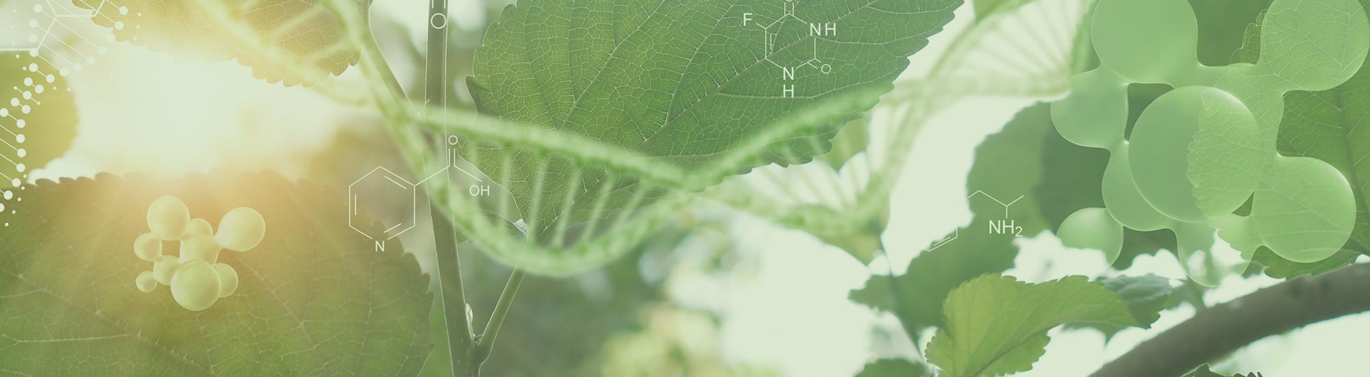 ONE Health - Microbiome Alliance for Disease Prevention