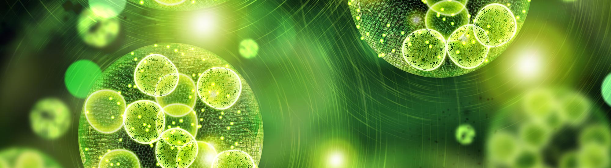 Understanding the Microbiome ~ Educational Resources - Microbiome ...